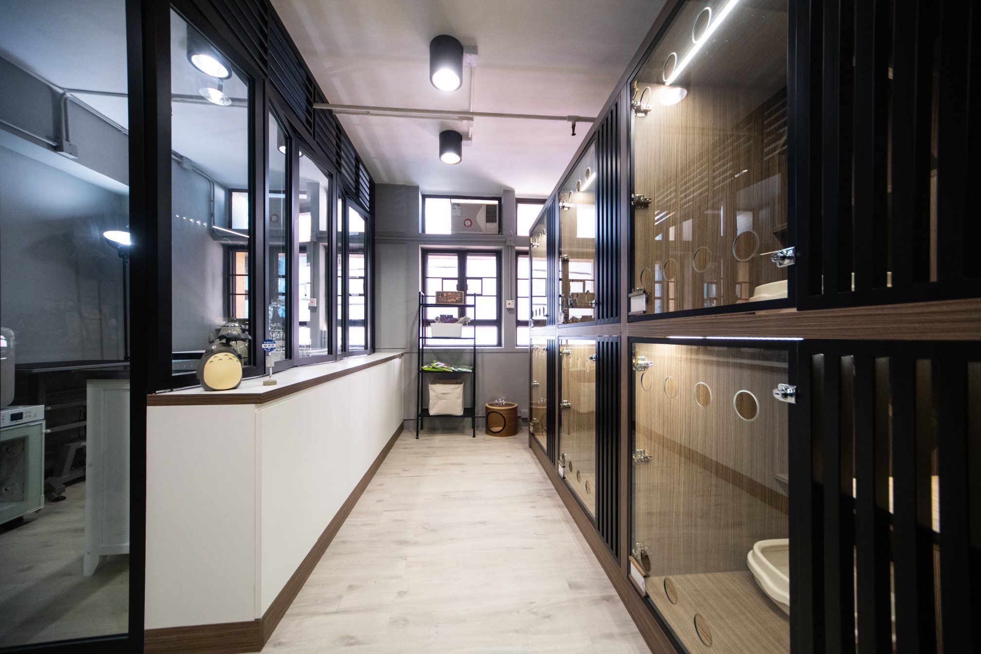 酒店服務灣仔分店 – PetVilla
